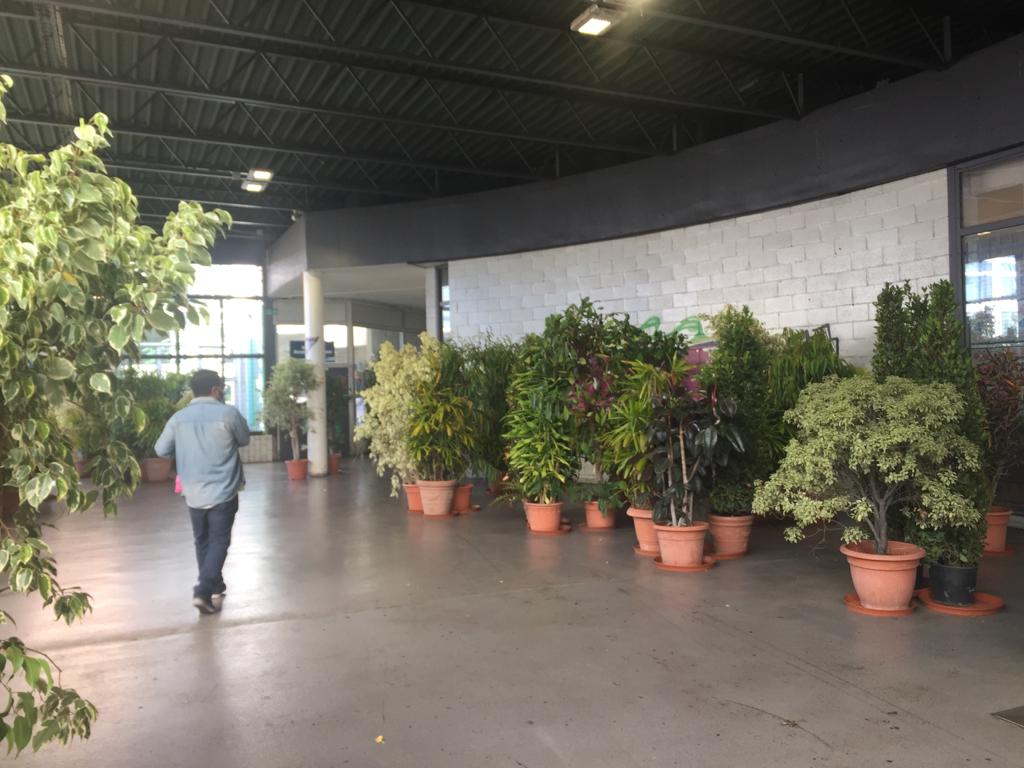 Améliorer le cadre de vie de la Halle Mandela | Mairie de Sevran